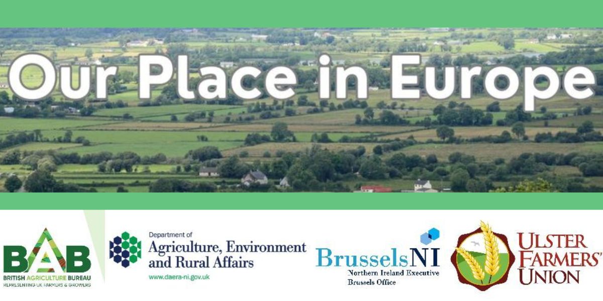 Northern Ireland Executive Office Brussels – Working for Northern ...